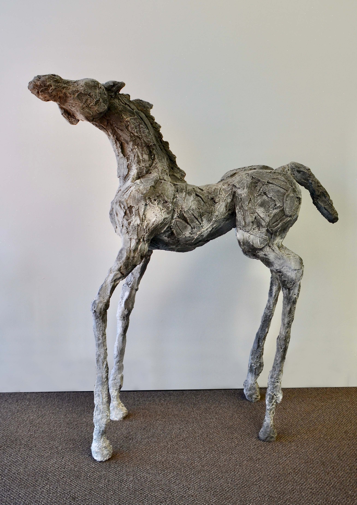 Taco 2/20 | ÆRENA Galleries & Gardens