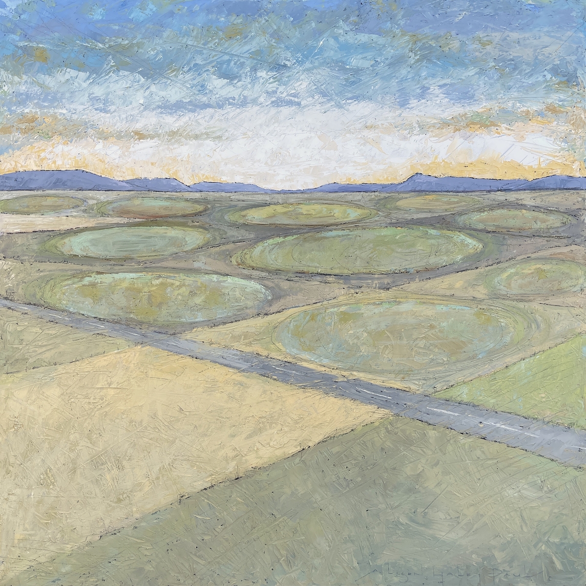 Aerial | ÆRENA Galleries & Gardens