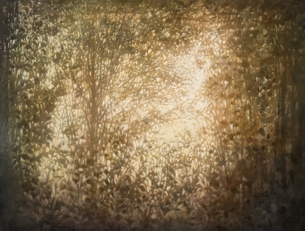 Sunlit Patterns | ÆRENA Galleries & Gardens