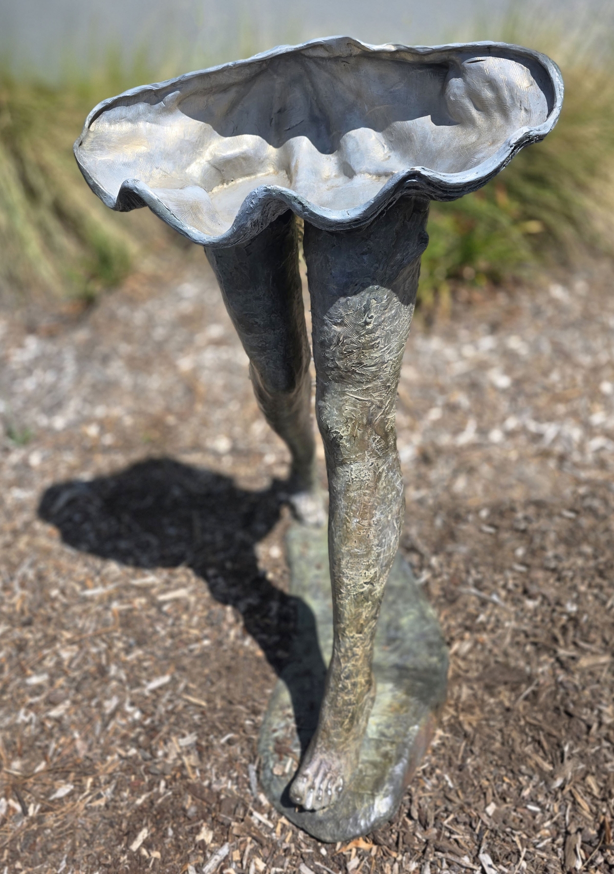 Shell Legs 1/99 | ÆRENA Galleries & Gardens