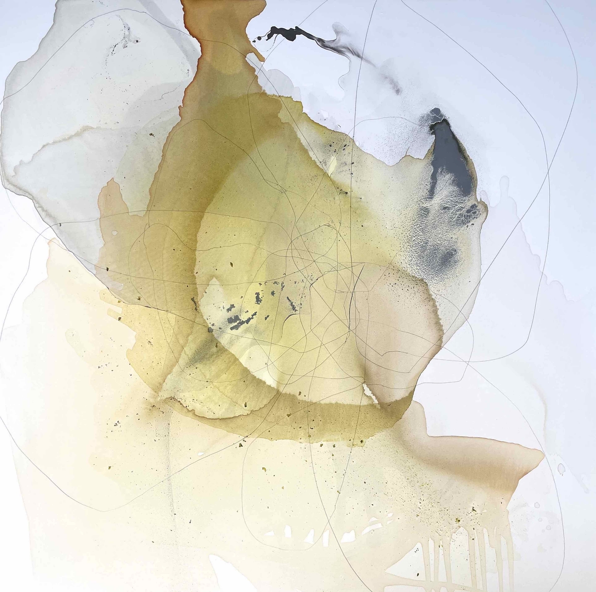 Daffodil 7 | ÆRENA Galleries & Gardens